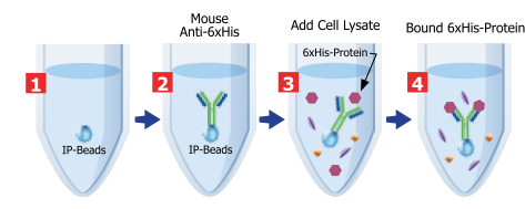 騰達行企業股份有限公司